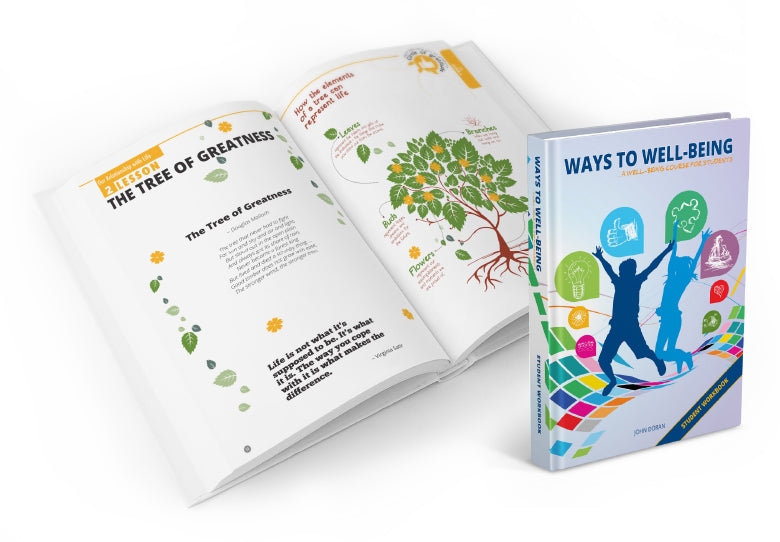Ways to Well-Being Programme Student Workbook – BuyBooks.ie
